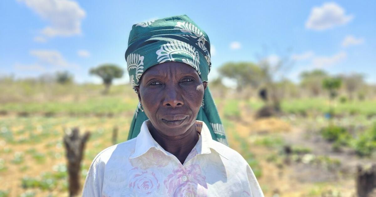 Mozambique: 7 years of conflict fueling displacement, water shortages ...